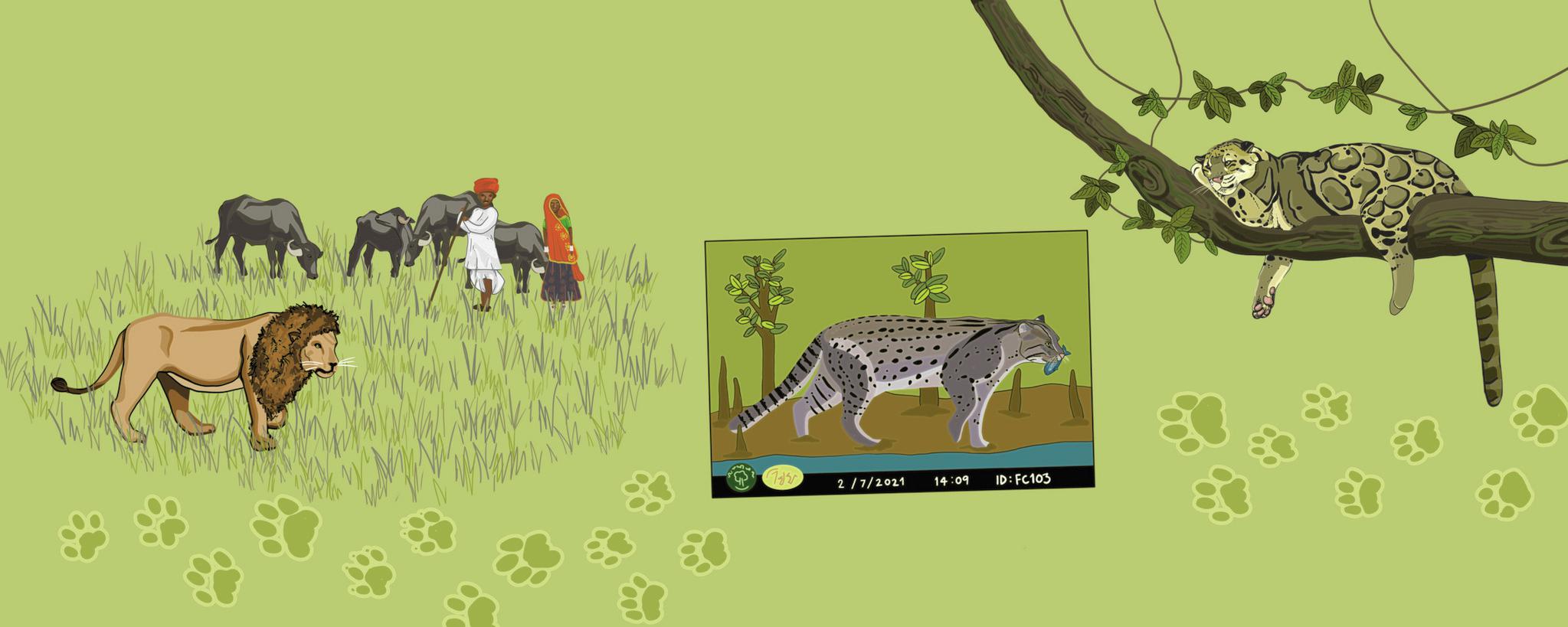 iThink Biology: Feline fables