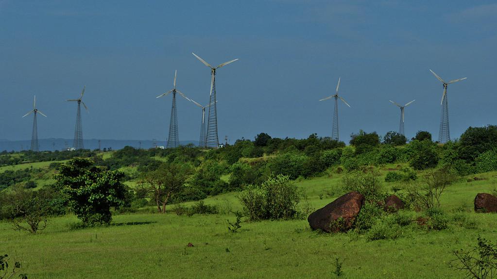 iThink Biology: Western Ghats