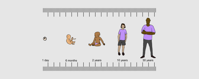 iThink Biology: Numbers and scales in biology