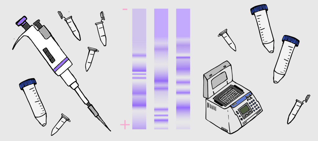 iThink Biology: Molecular biology techniques
