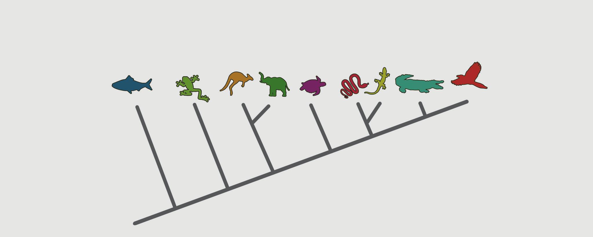 iThink Biology: Evolution